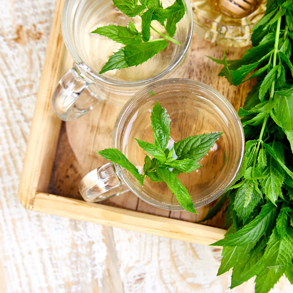 Chicago Teahouse | Premium Quality Tea Retailer | Tea Accessories